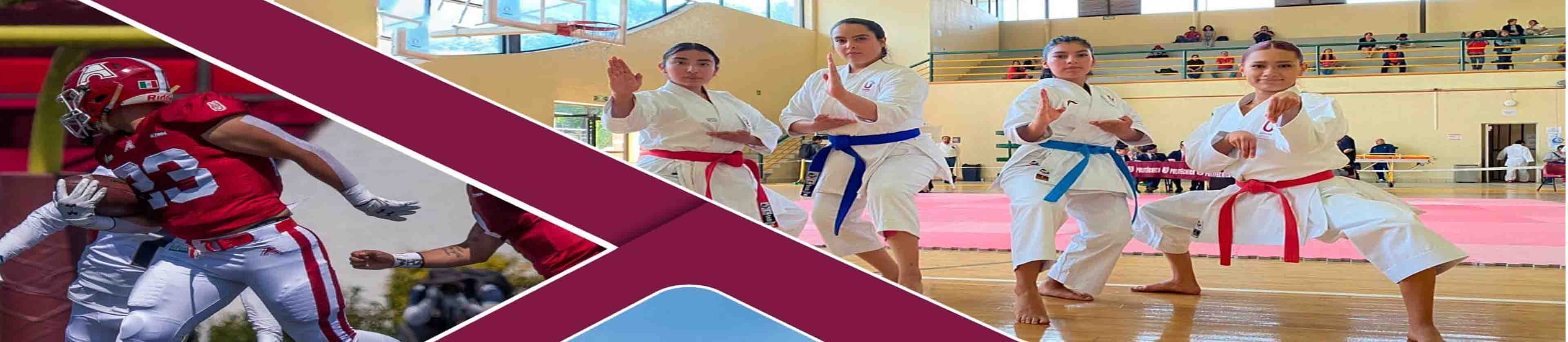 Dirección de Actividades Deportivas | IPN Oficial